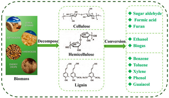 Application of Catalysts in the Conversion of Biomass and Its Derivatives