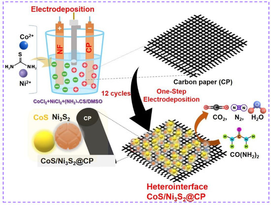Engineered CoS/Ni3S2 Heterointerface Catalysts Grown Directly on Carbon ...