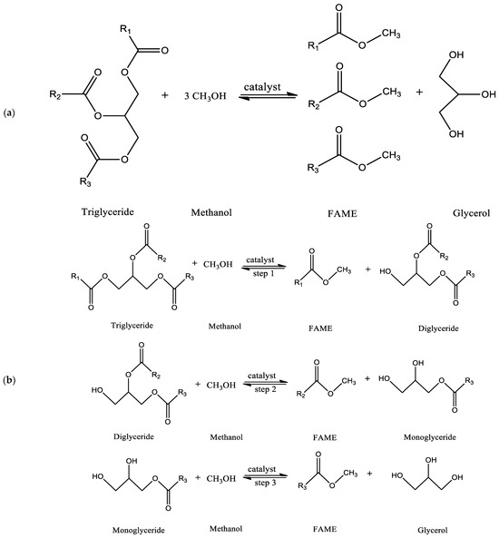 Efficient and Sustainable Biodiesel Production via Transesterification ...