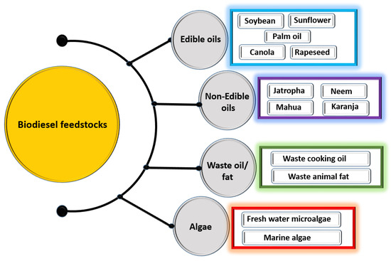 Efficient and Sustainable Biodiesel Production via Transesterification ...