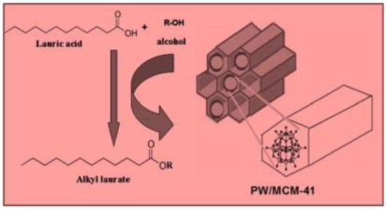 Efficient And Sustainable Biodiesel Production Via Transesterification Catalysts And Operating