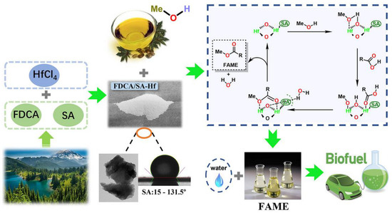 Efficient And Sustainable Biodiesel Production Via Transesterification Catalysts And Operating