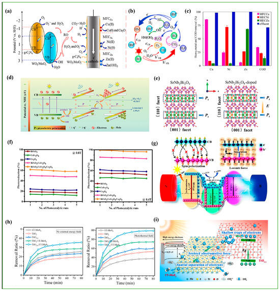 Emerging Catalytic Strategies Driven by External Field for Heavy Metal ...
