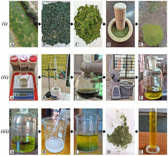 Optimizing Algal Oil Extraction and Transesterification Parameters ...