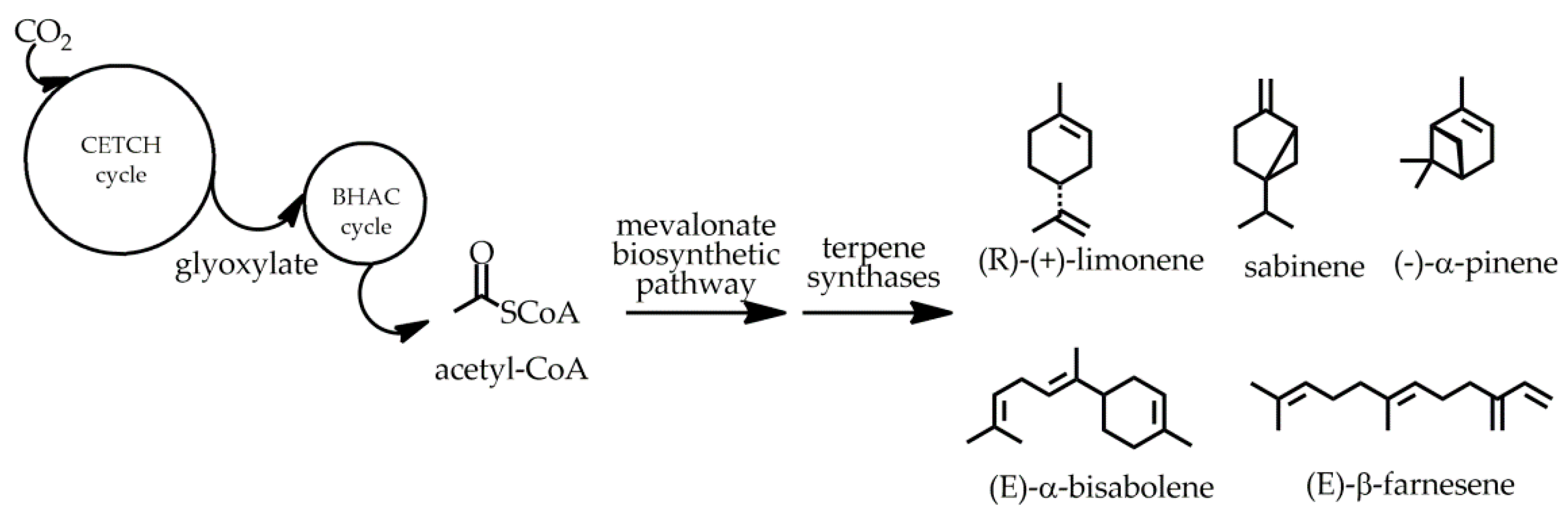 The Biochemistry of Artificial CO2-Fixation Pathways: The Exploitation ...
