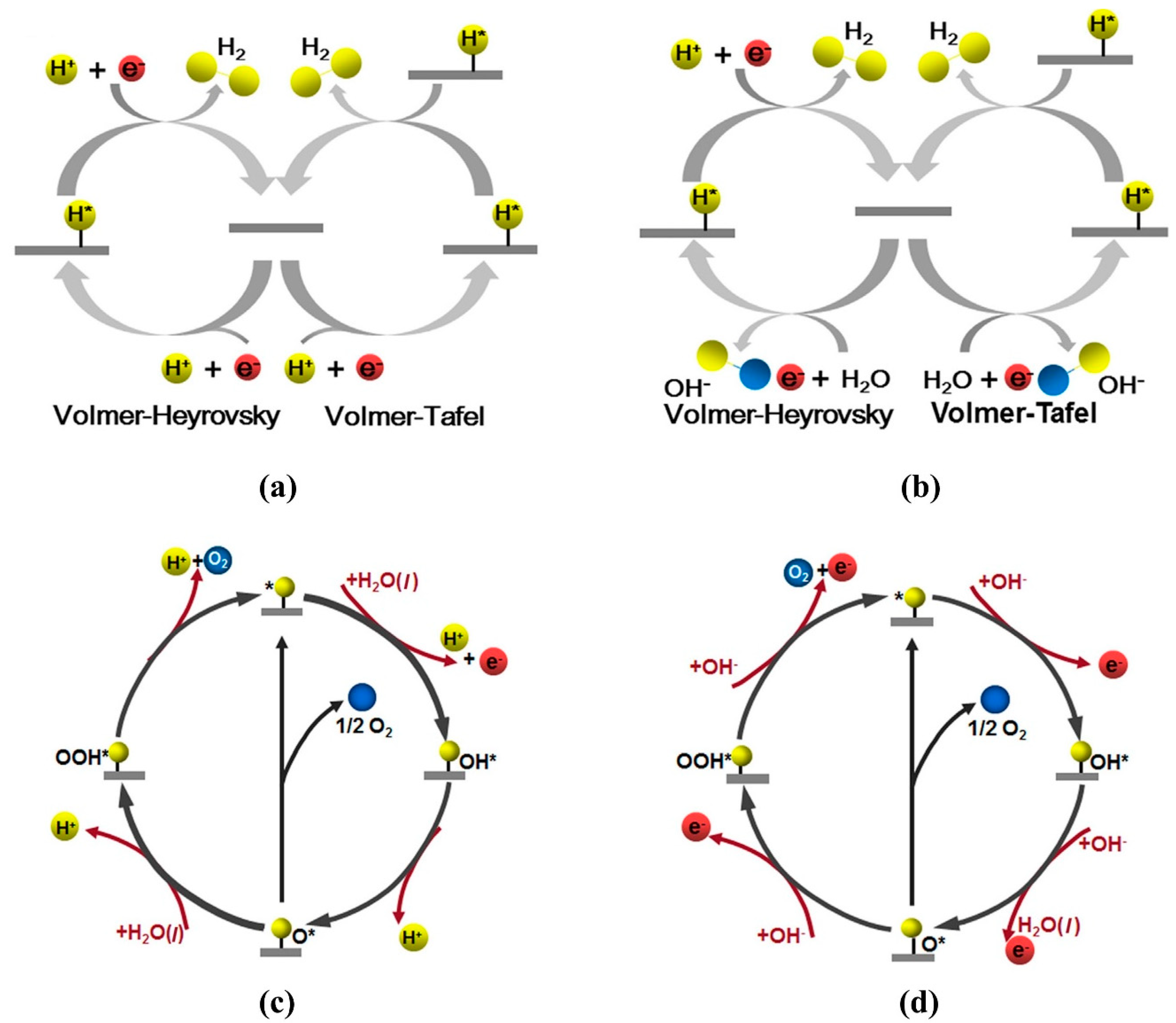 Transition Metal Dichalcogenides in Electrocatalytic Water Splitting