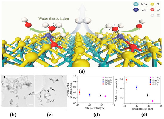 Transition Metal Dichalcogenides in Electrocatalytic Water Splitting