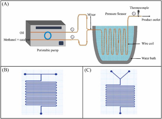 Aspects of Reaction Engineering for Biodiesel Production