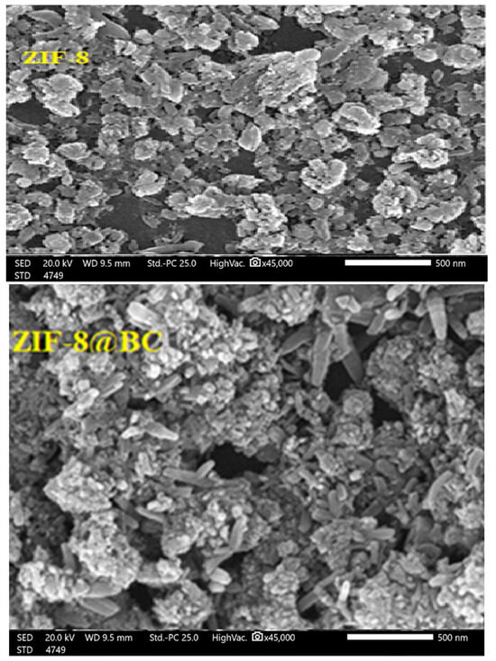 Novel Biochar-Modified ZIF-8 Metal–Organic Frameworks as a Potential ...