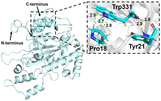 Engineering the C-Terminal Region to Enhance the Thermal Stability of ...