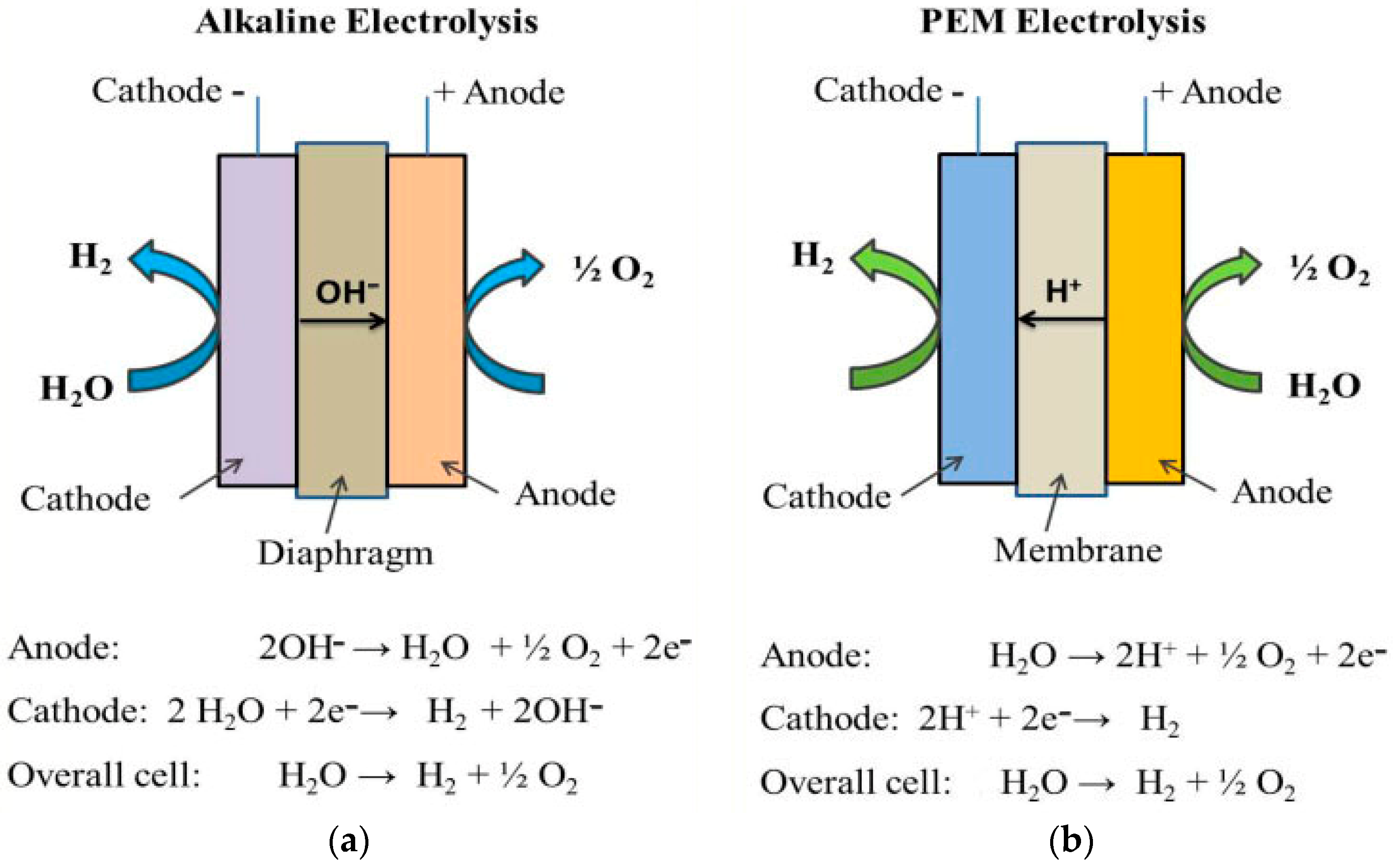 Proton-Exchange Membrane Electrolysis for Green Hydrogen Production: Fundamentals, Cost ...