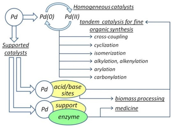 Advancements in Pd-Based Supported Porous Nanocatalysts for the C-C ...