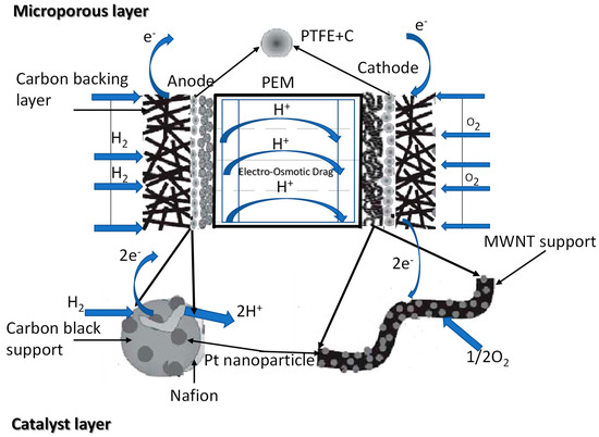 Proton Exchange Membrane Fuel Cell Catalyst Layer Degradation Mechanisms: A Succinct Review