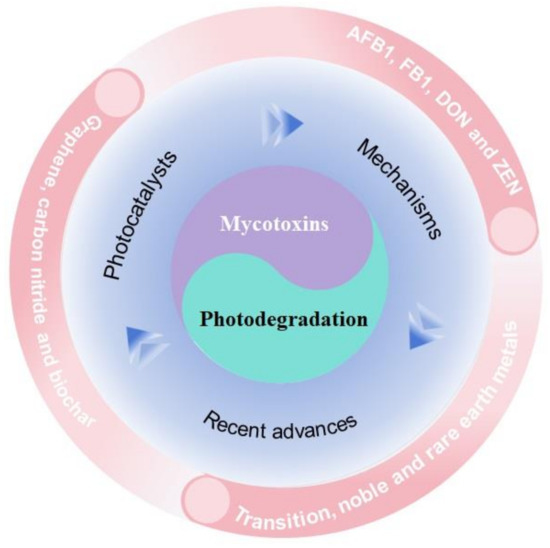 Photocatalytic Degradation of Mycotoxins by Heterogeneous Photocatalysts