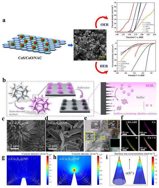 Recent Advances in Transition Metal Chalcogenides Electrocatalysts for ...