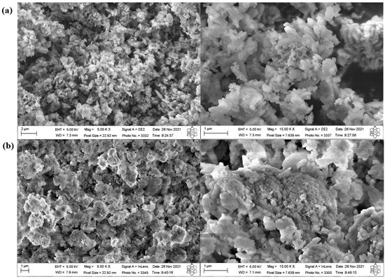 Influence of Secondary Porosity Introduction via Top-Down Methods on ...