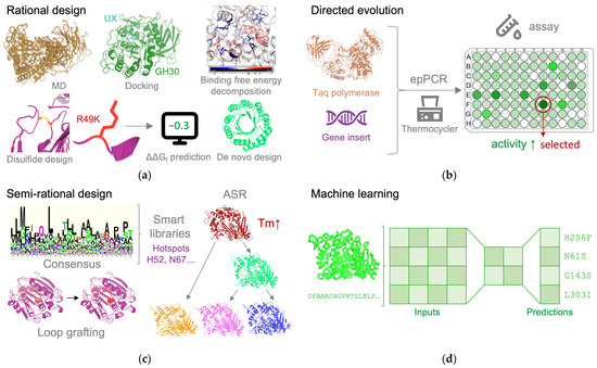 Protein Engineering for Industrial Biocatalysis: Principles, Approaches ...