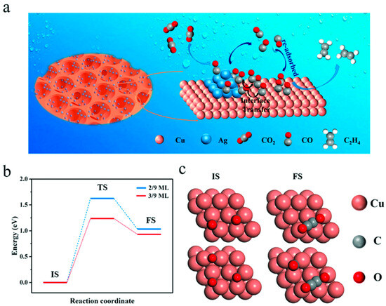 The Role of Electrocatalysts in the Electrochemical Conversion of CO2 ...