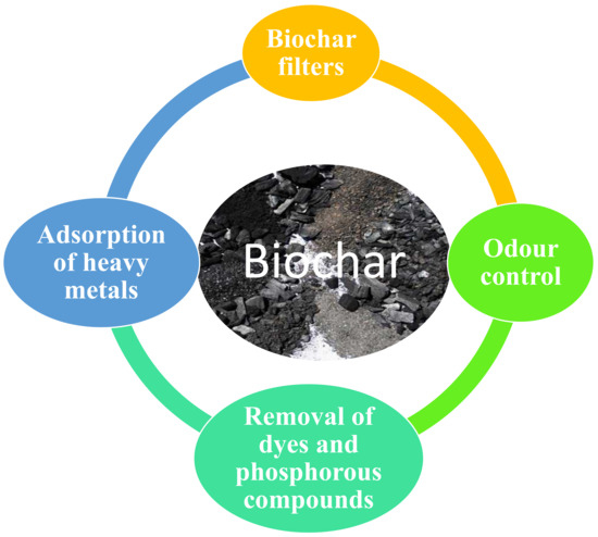 Recent Advances in Biochar Production, Characterization, and ...