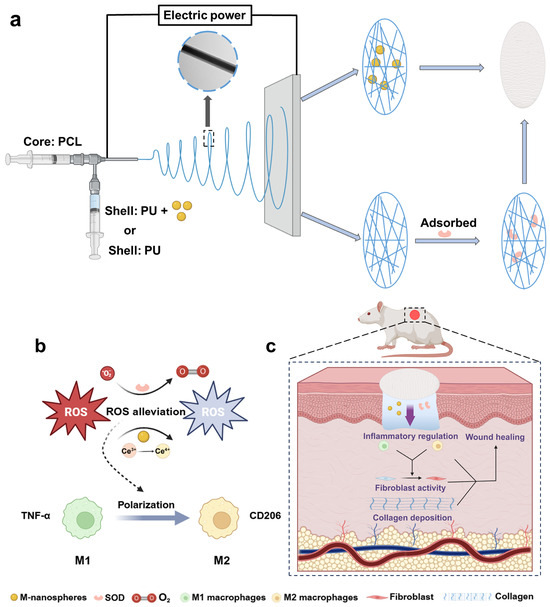 Polyurethane@CeO2 Nanozyme Core–Shell Fibrous Membranes for Enhanced ...