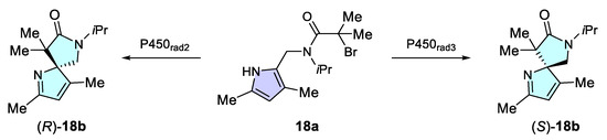 Recent Advances in Biocatalytic Dearomative Spirocyclization Reactions