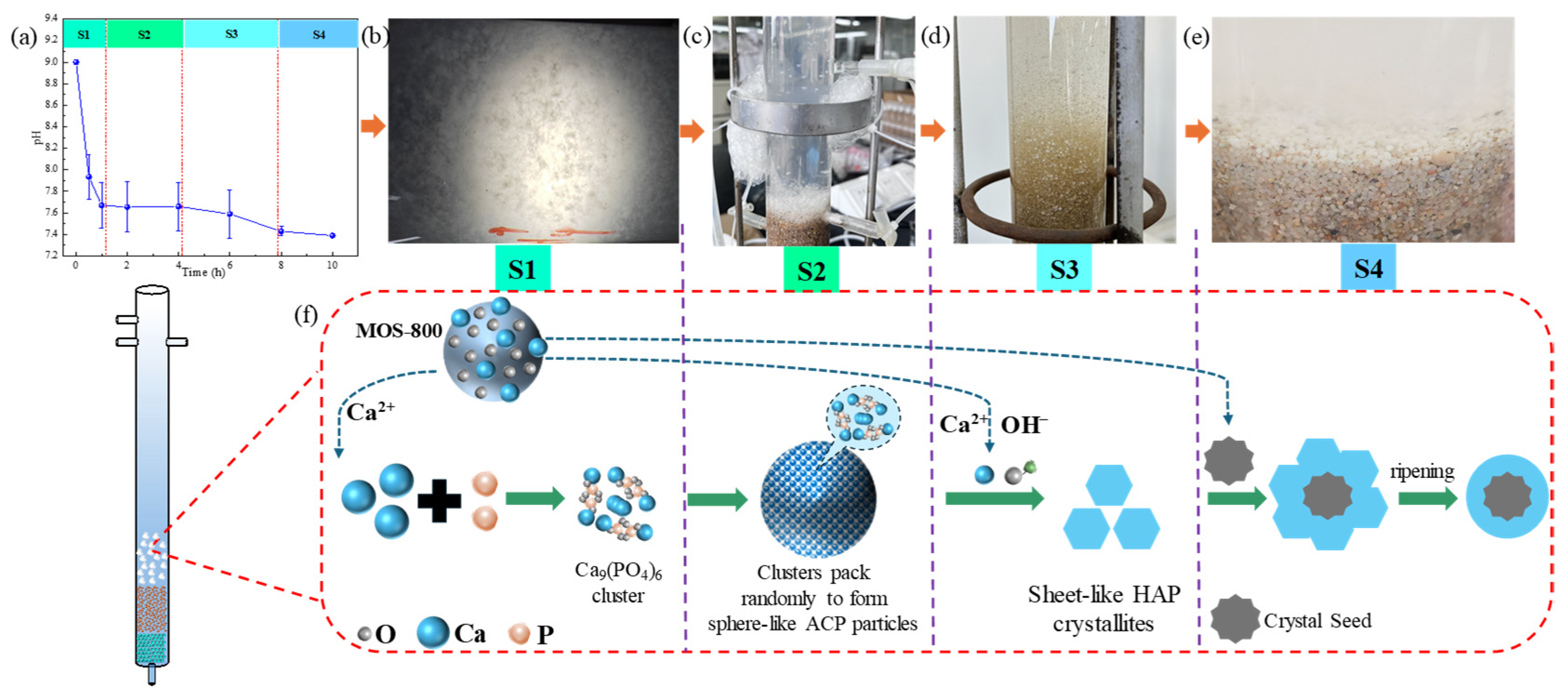 Synergistic Sequestration and Hydroxyapatite-Based Recovery of Phosphorus by the Coupling ...