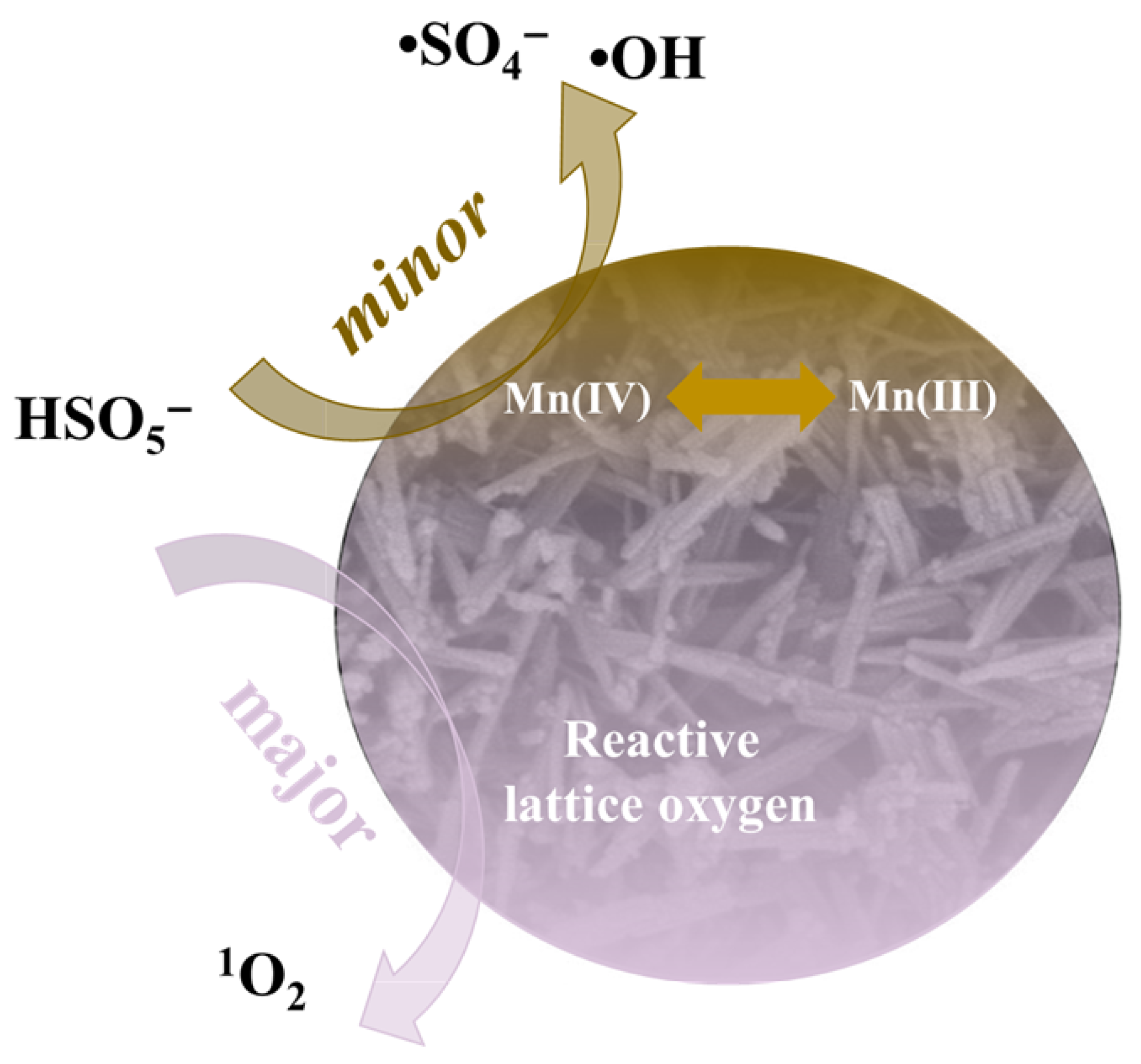 α-MnO2 Reactive Lattice Oxygen Promotes Peroxymonosulfate-Activated ...