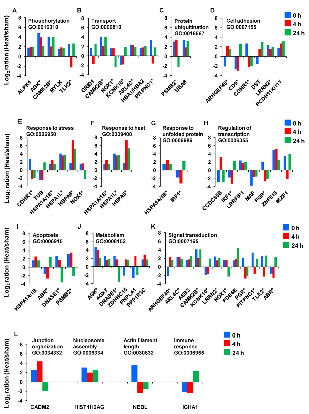 Cells | Special Issue : Cellular Stress Response
