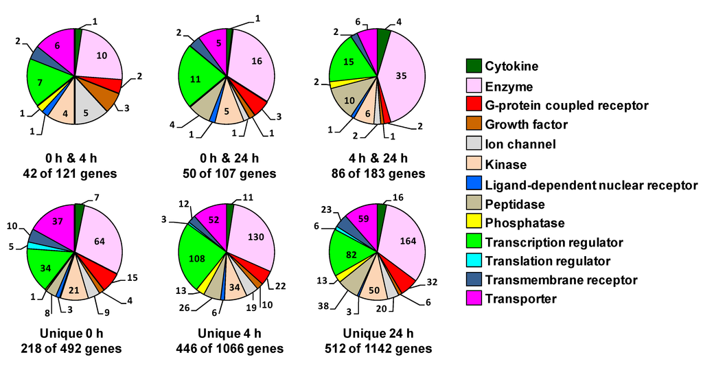 Cells | Special Issue : Cellular Stress Response