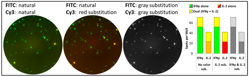 Stepping up ELISpot: Multi-Level Analysis in FluoroSpot Assays