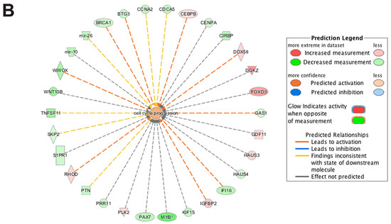 Cells | Free Full-Text | Expression Profiling of Differentiating Emerin ...