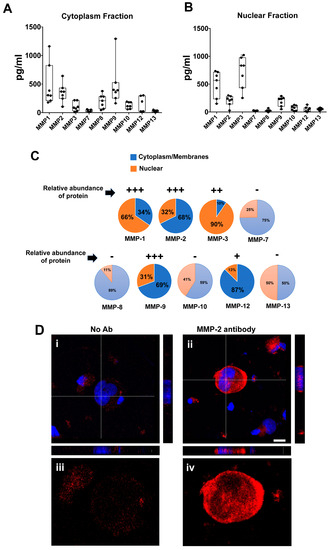 Sub-Cellular Localization of Metalloproteinases in Megakaryocytes