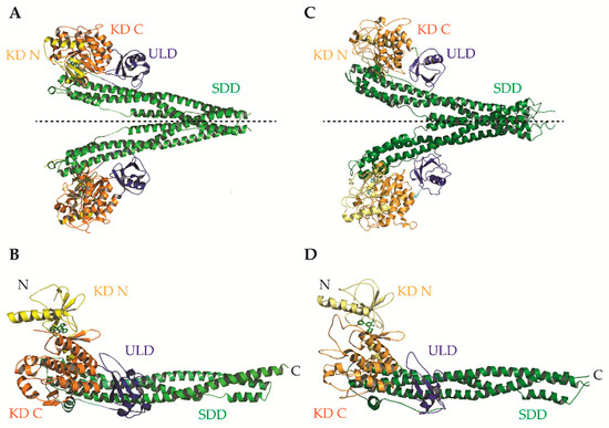 Cells | Free Full-Text | Targeting IKKβ in Cancer: Challenges and ...