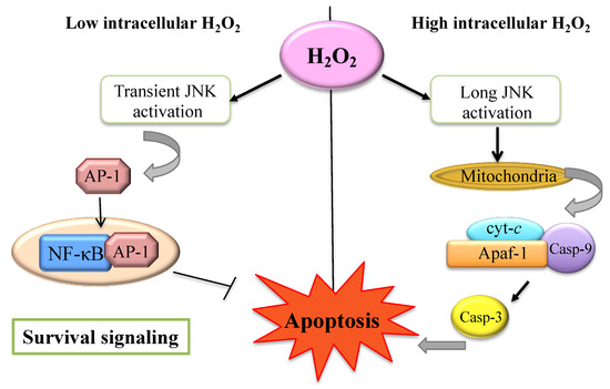 The Role of Hydrogen Peroxide in Redox-Dependent Signaling: Homeostatic ...
