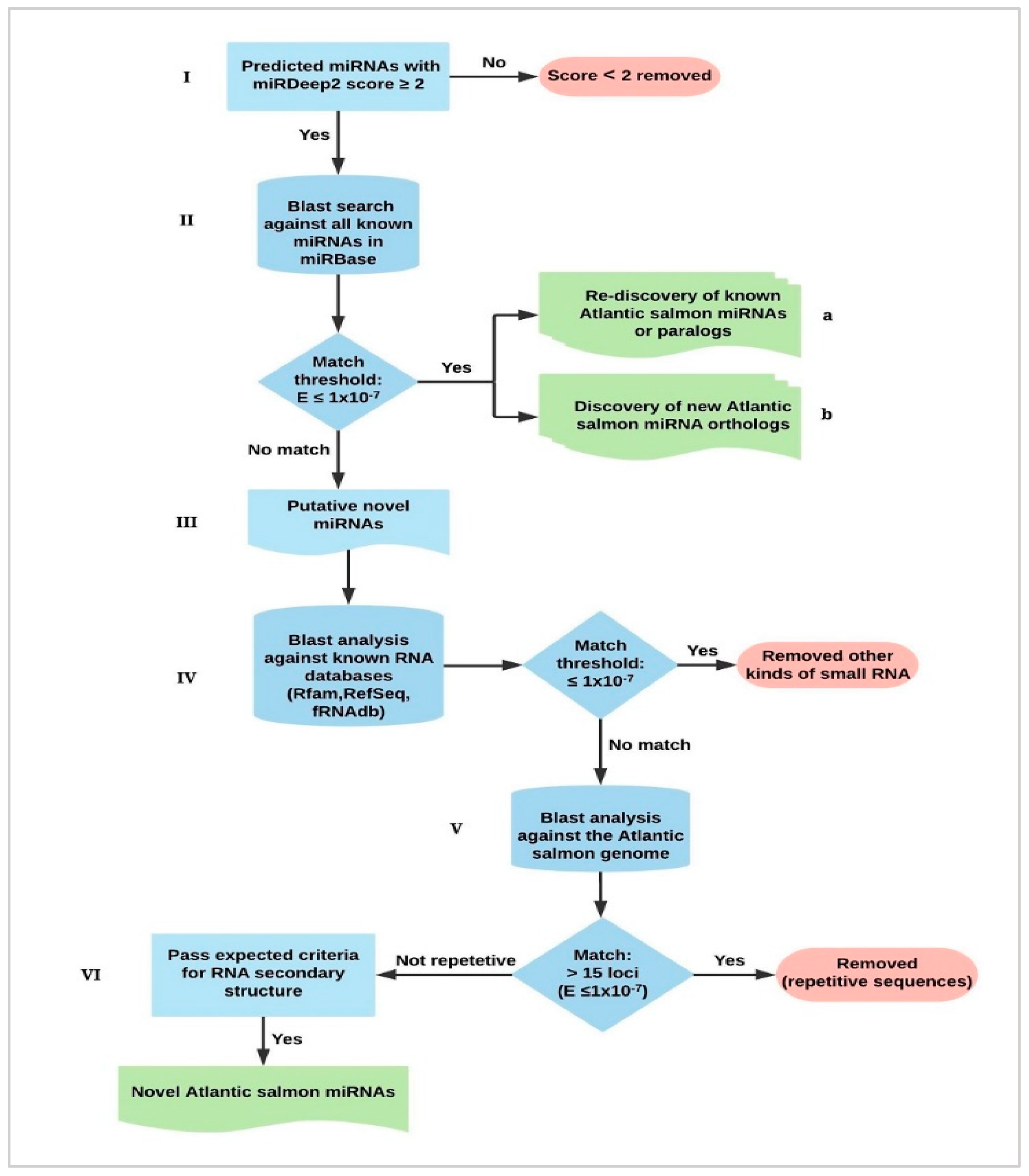 Cells | Free Full-Text | Expanding the miRNA Repertoire in Atlantic ...