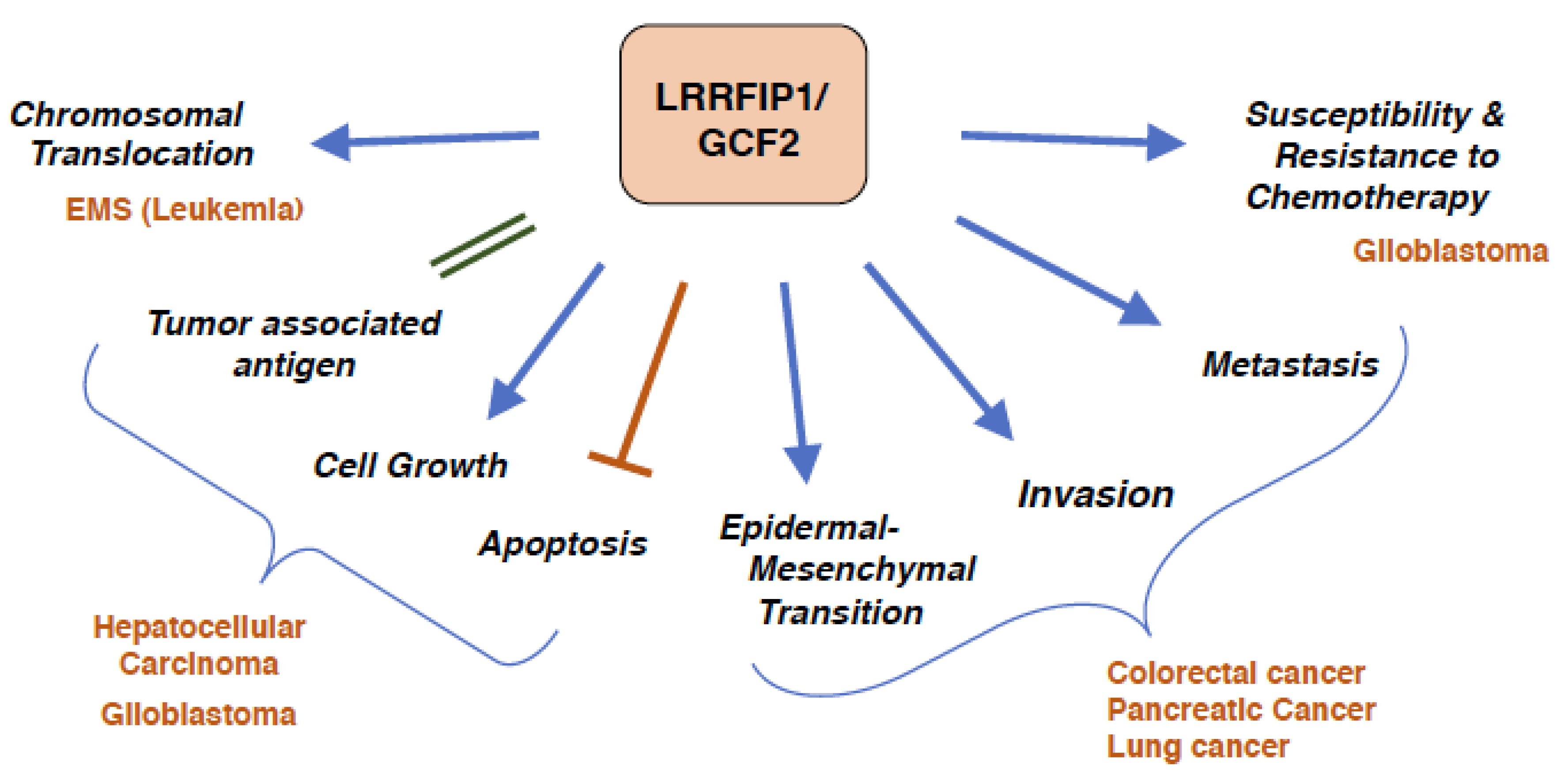 Cells | Free Full-Text | Multidisciplinary Roles of LRRFIP1/GCF2 in ...