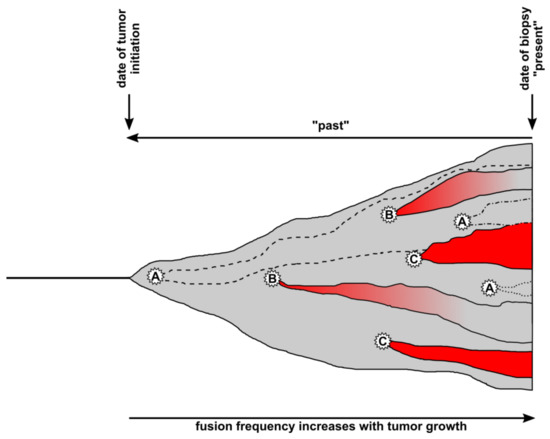 Cell Fusion in Human Cancer: The Dark Matter Hypothesis