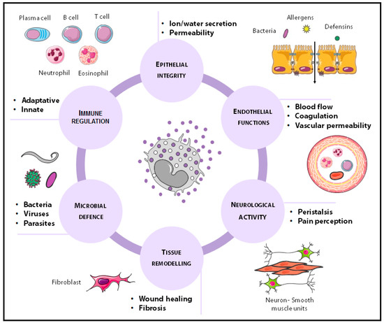 Cells | Special Issue : Mast Cells in Inflammation and Immunity