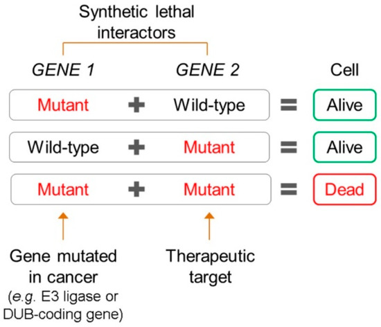 Developing Targeted Therapies That Exploit Aberrant Histone ...