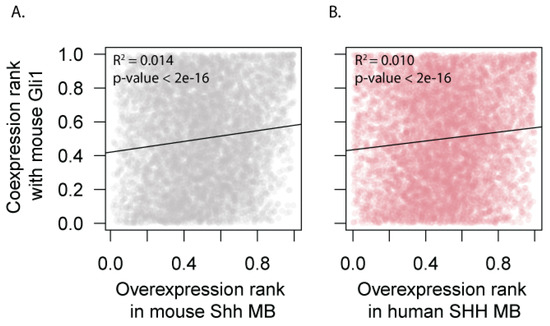 Differential Expression of Mitochondrial Biogenesis Markers in Mouse ...