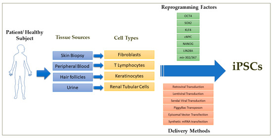 Current Challenges of iPSC-Based Disease Modeling and Therapeutic ...