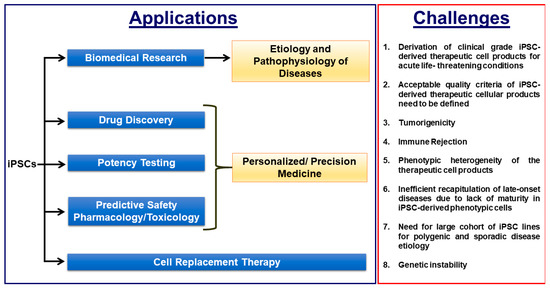 Current Challenges of iPSC-Based Disease Modeling and Therapeutic ...