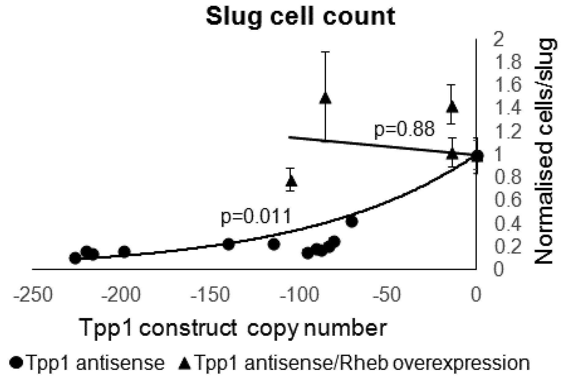 Modelling of Neuronal Ceroid Lipofuscinosis Type 2 in Dictyostelium ...