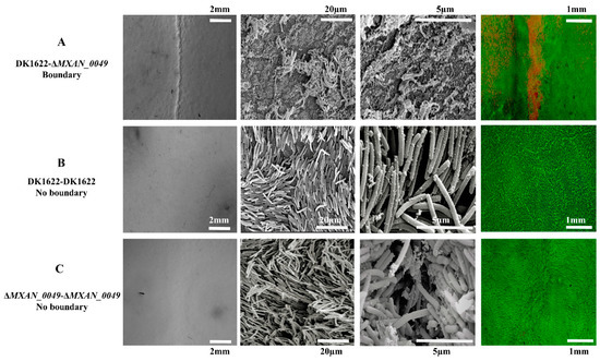Cells | Free Full-Text | Omics Studies Revealed the Factors Involved in ...