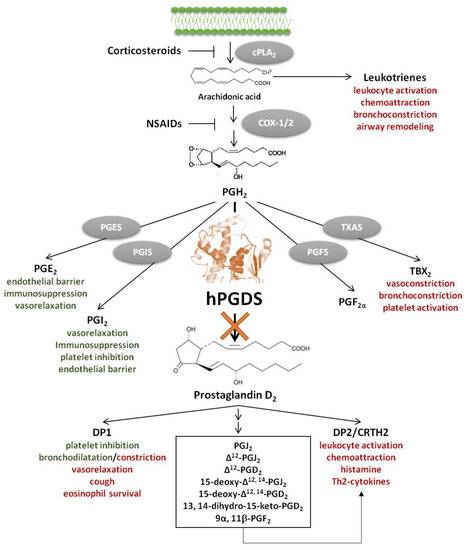 Therapeutic Potential of Hematopoietic Prostaglandin D2 Synthase in ...