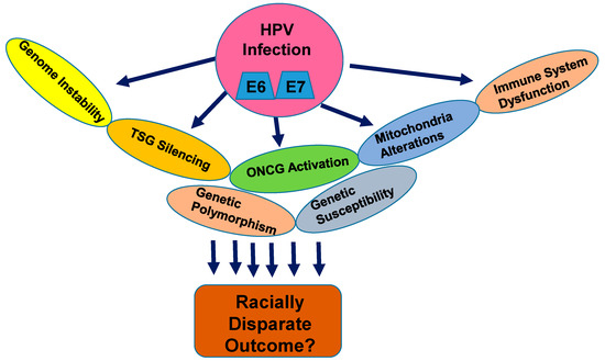 Human Papilloma Virus-Associated Cervical Cancer and Health Disparities