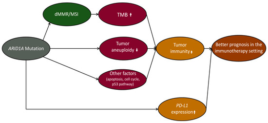 ARID1A Mutations Are Associated with Increased Immune Activity in ...
