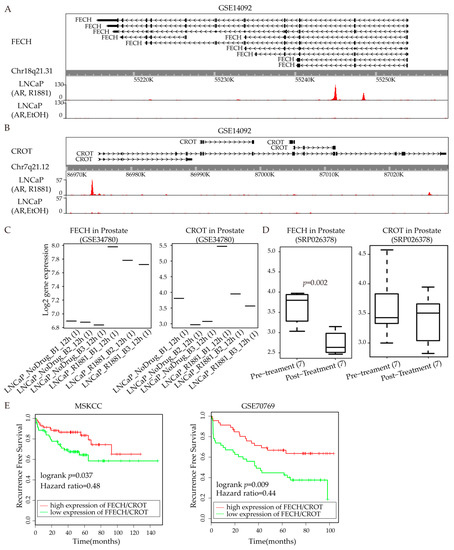 Single Cell Gene Co-Expression Network Reveals FECH/CROT Signature as a ...