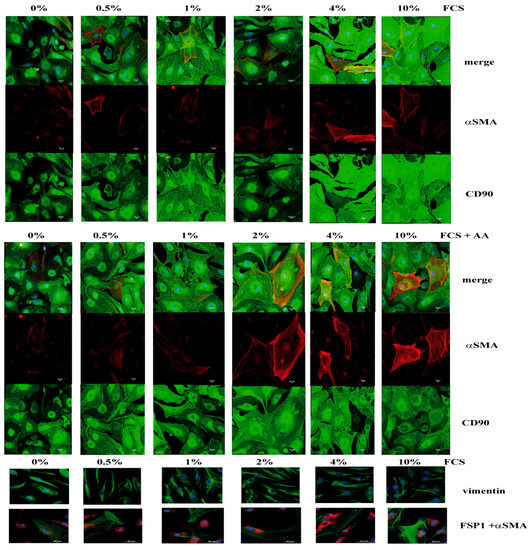 Primary Human Fibroblasts in Culture Switch to a Myofibroblast-Like ...