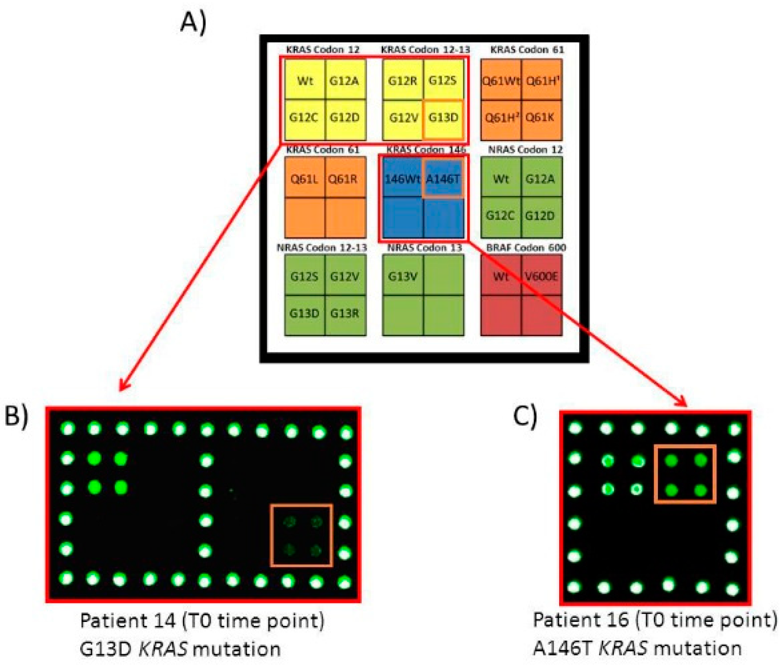 Cells | Free Full-Text | Microarray Approach Combined with ddPCR: An Useful Pipeline for the ...